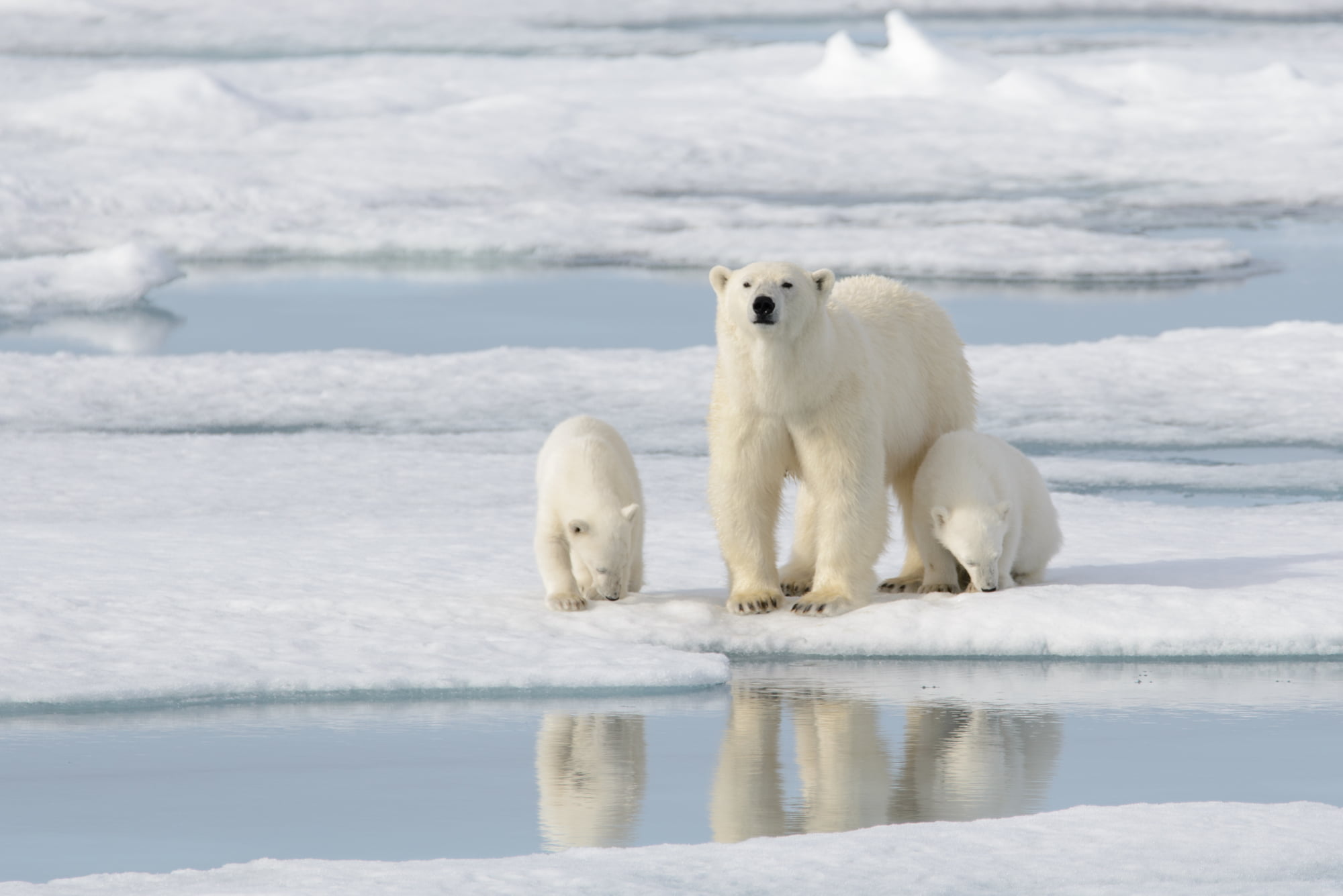 サステナブルとは？意味やSDGsとの違い、日常でできる取り組みも紹介 - エシラボ by ASKUL