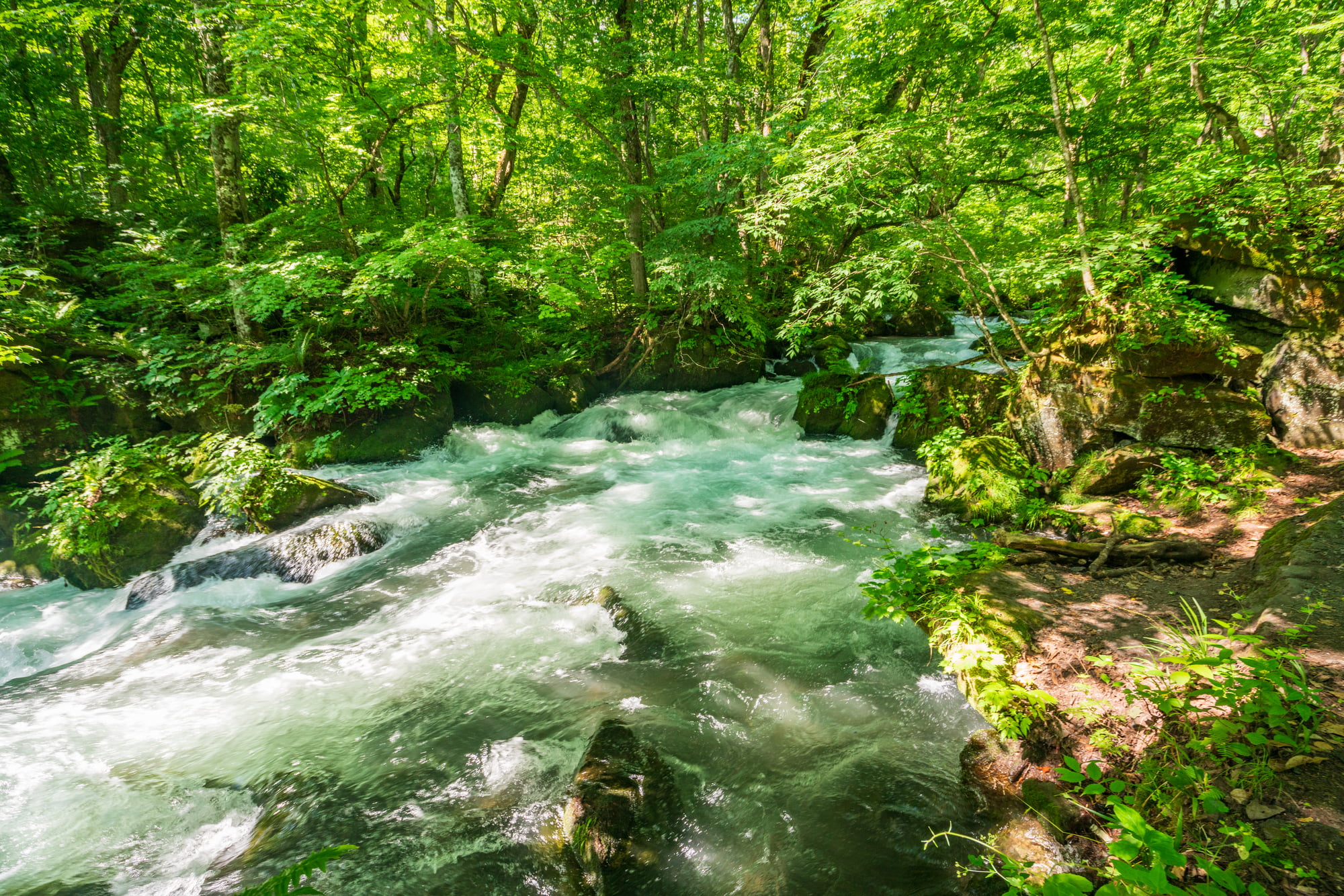 「水の日・水の週間」とは？8月1日は何の日？ - エシラボ by ASKUL