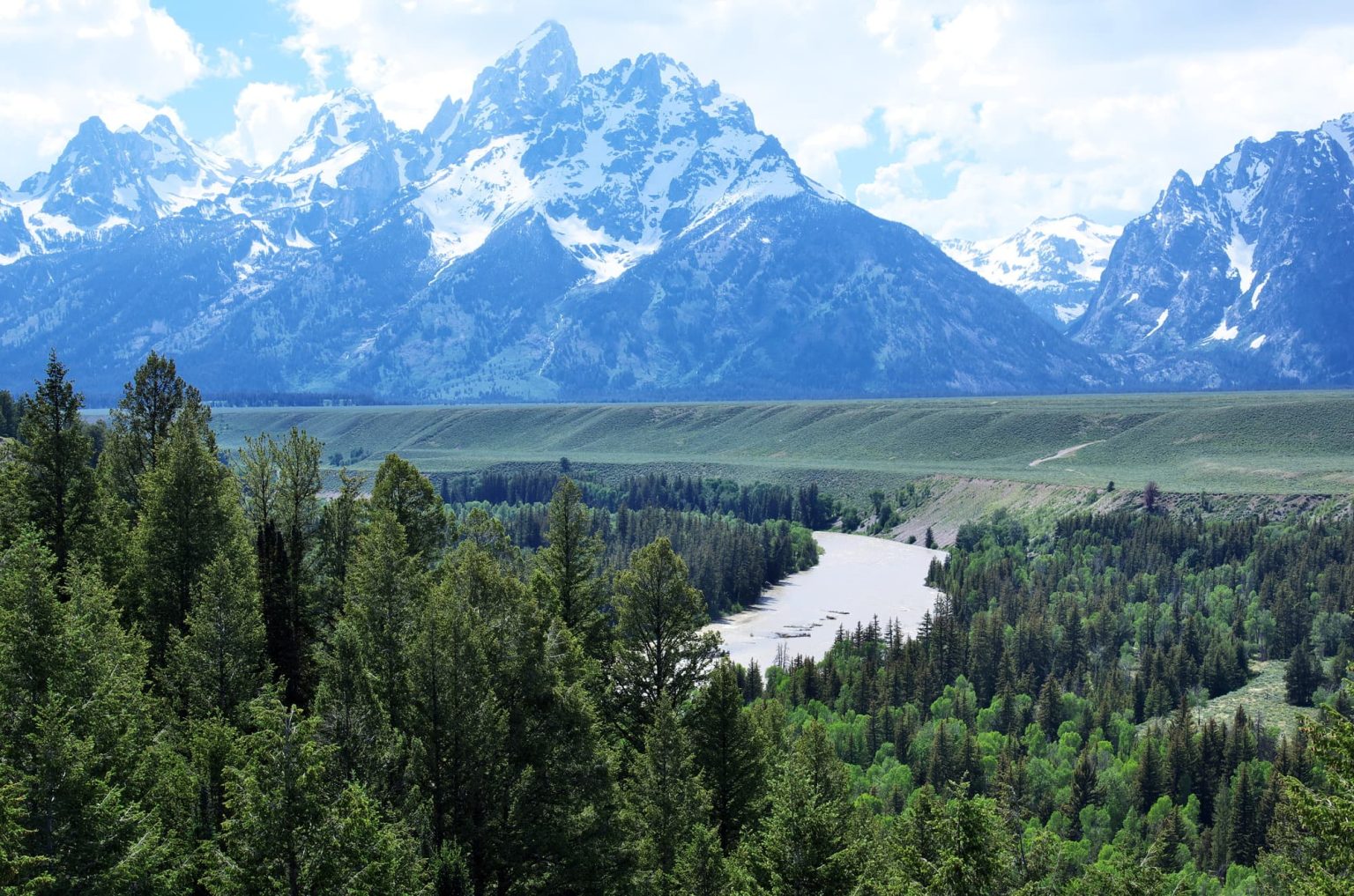 ネイチャーポジティブとは？2030年に向けた取り組み事例や私たちにできること - エシラボ by ASKUL