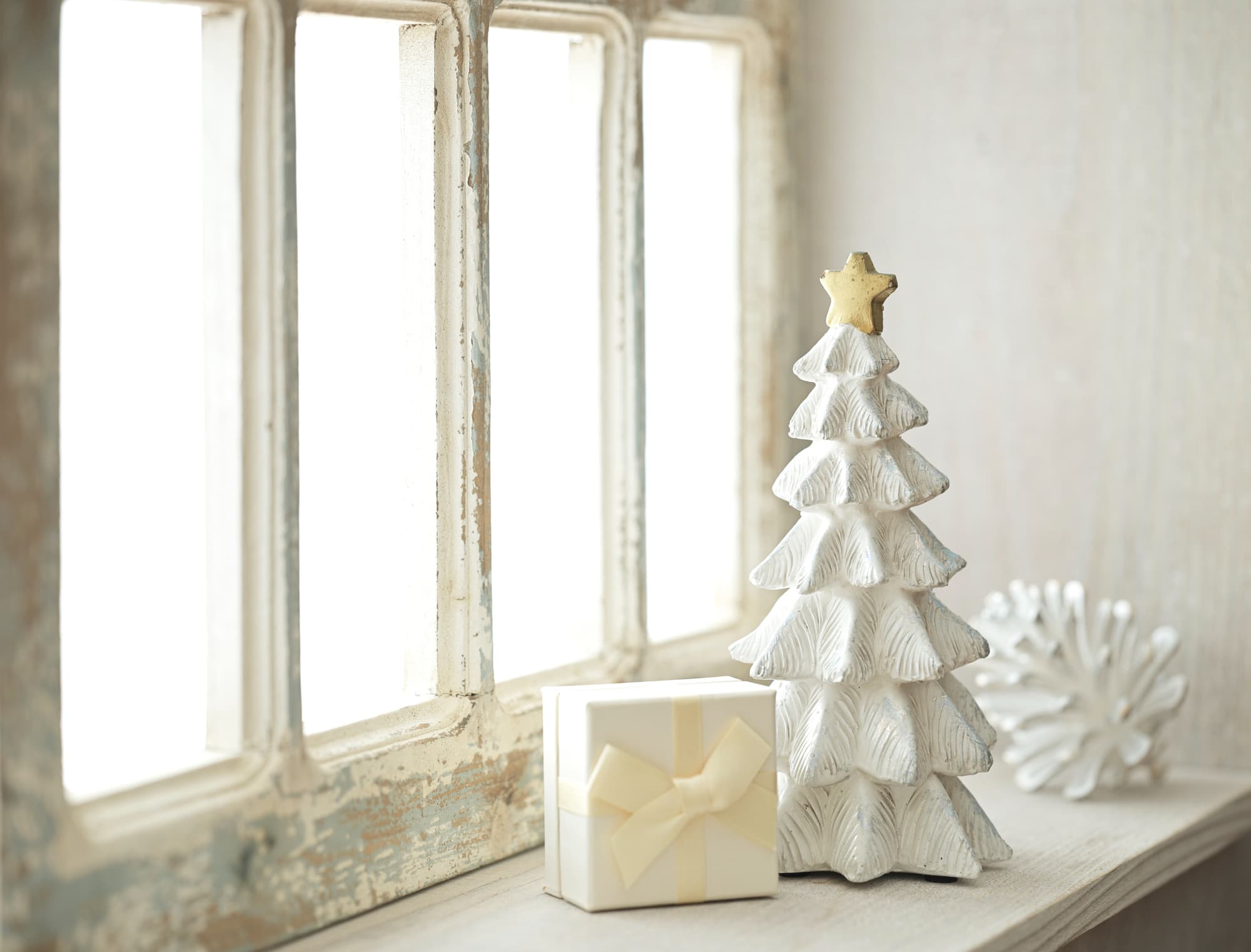 12月25日はクリスマス！世界のクリスマスとエシカルな過ごし方を紹介 - エシラボ by ASKUL