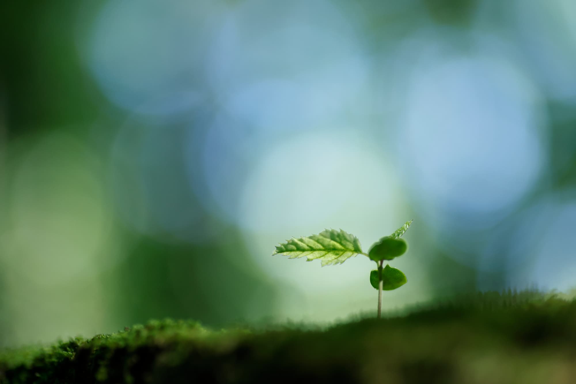 リジェネラティブとは？分野ごとの特徴と企業の取り組み事例を紹介 - エシラボ by ASKUL